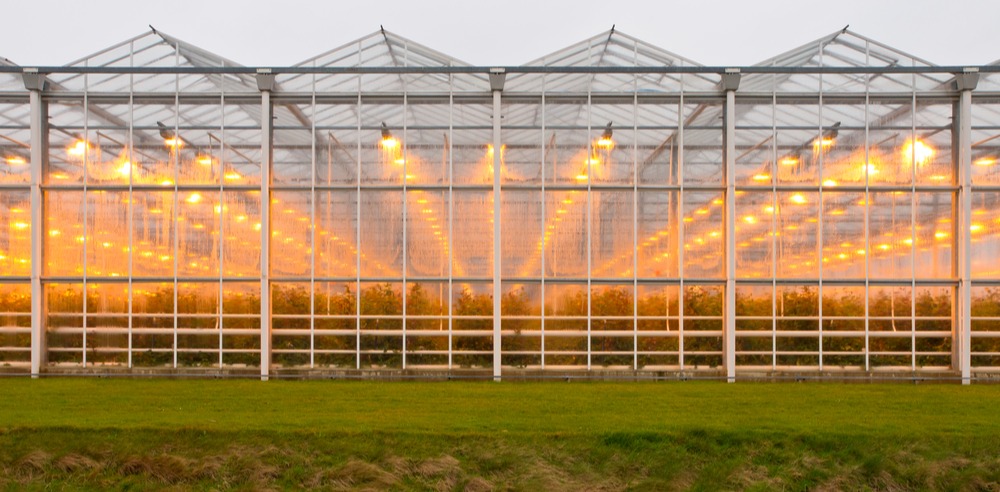 A Brief Guide to Greenhouse Structural Components